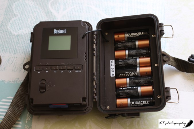 How to…Use and Make the Most of a Camera Trap | Laura's Wild World