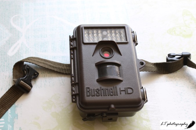 How to…Use and Make the Most of a Camera Trap | Laura's Wild World