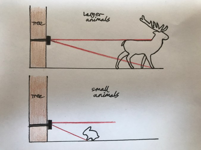 How to…Use and Make the Most of a Camera Trap | Laura's Wild World
